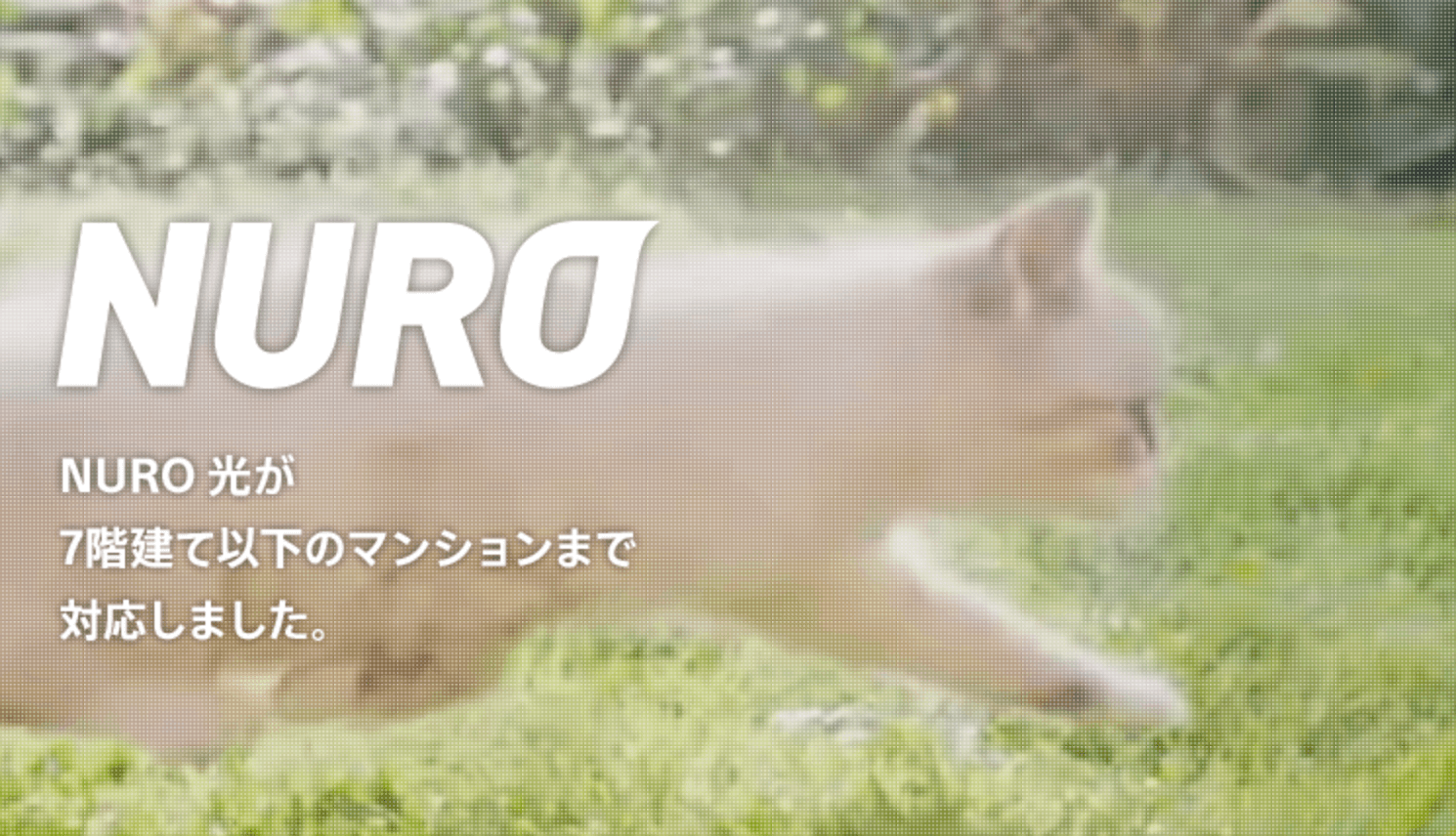 nuro_titlecat – ネトカツ